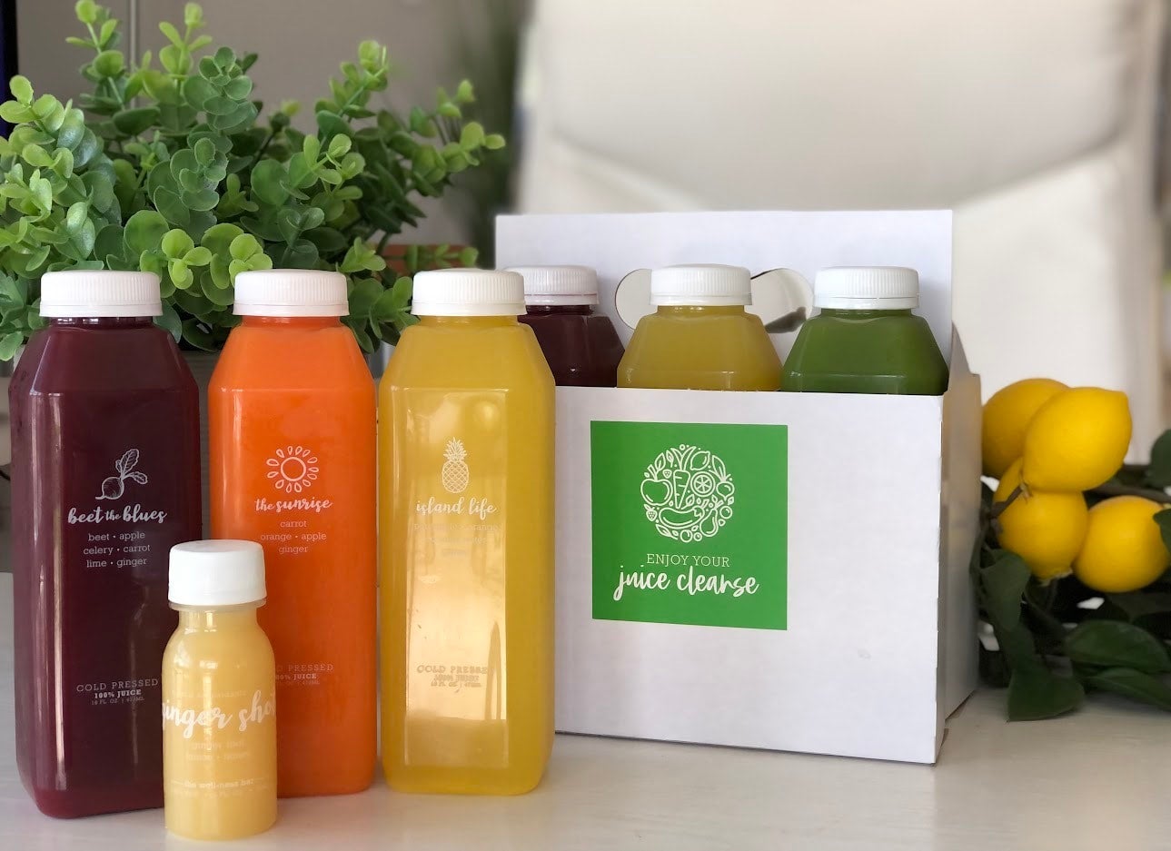 Premier 1-Day Juice Cleanse | Health Cleanse | The Wellness Bar, LLC